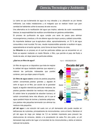 Fichas actividades 1_grado-1 (1) | PDF