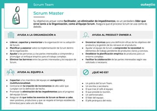 FICHAS AGILES - Scrum - Product Owner - Daily | PDF