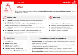 FICHAS AGILES - Scrum - Product Owner - Daily | PDF