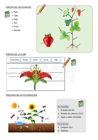 Fichas alumnado atal 1 eso | PDF
