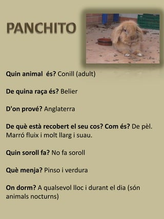 Fitxes animals | PDF