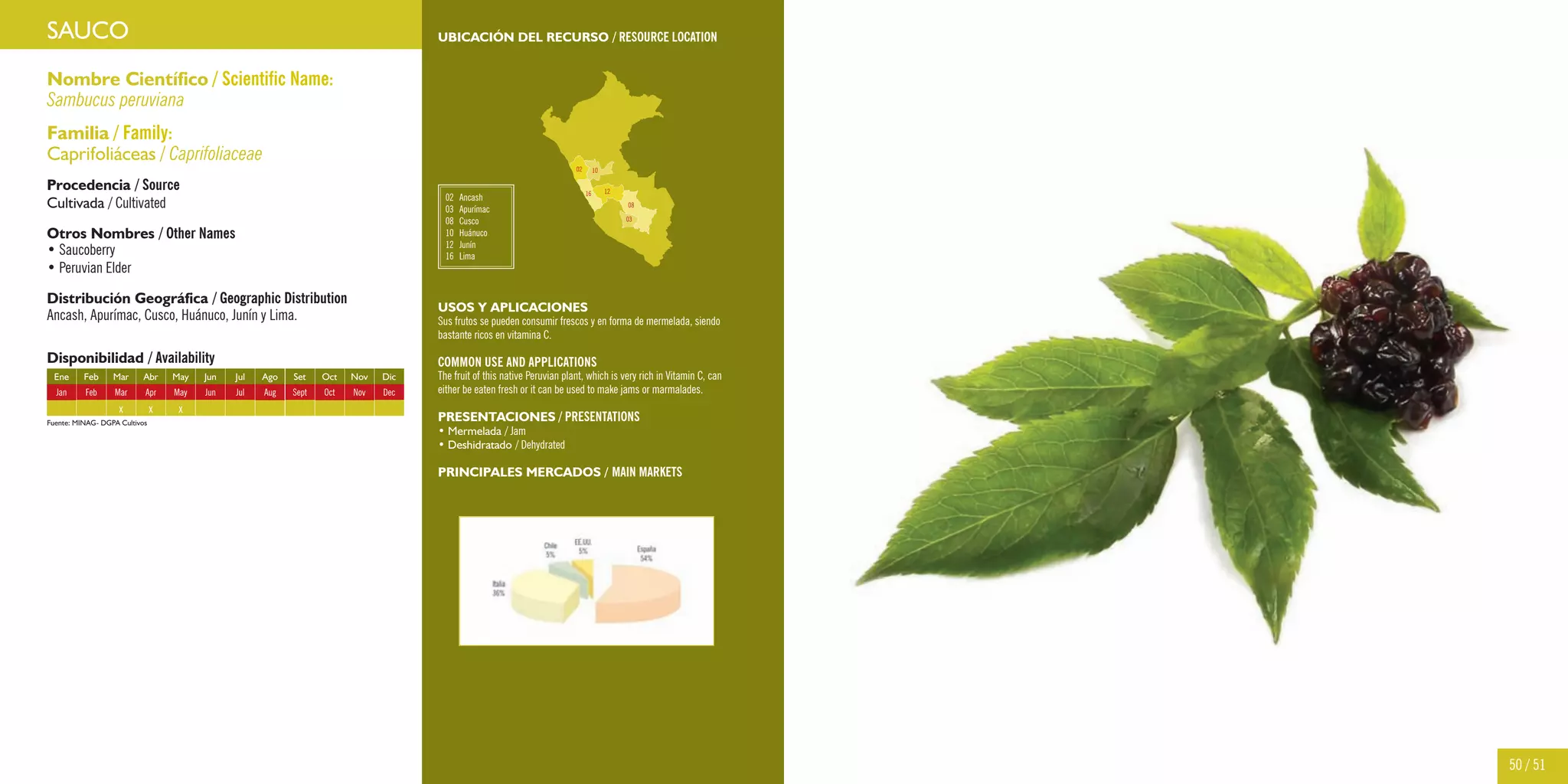 Biocomercio - Sauco | PDF
