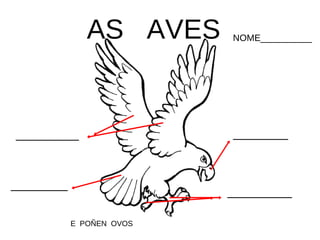 Fichas aves | PPT
