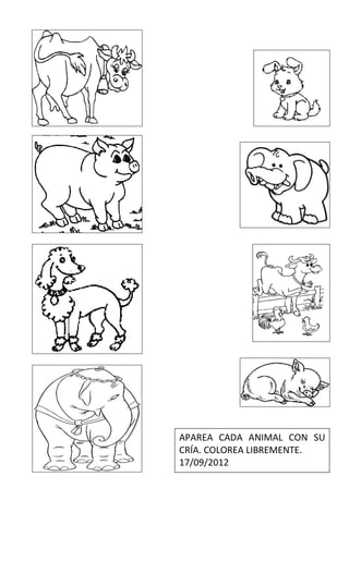 Fichas de animales | PDF
