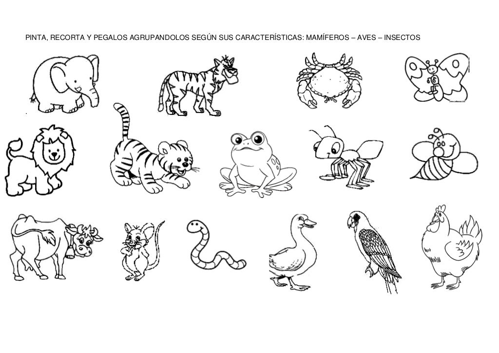 Fichas Para Aprender A Contar Con Dibujos De Animales Y 9BB