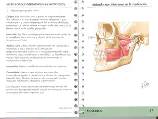 Fichas de autoevaluación Netter Cabeza y cuello.pdf