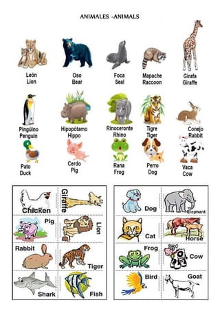 Fichas de ingles2 a | DOCX
