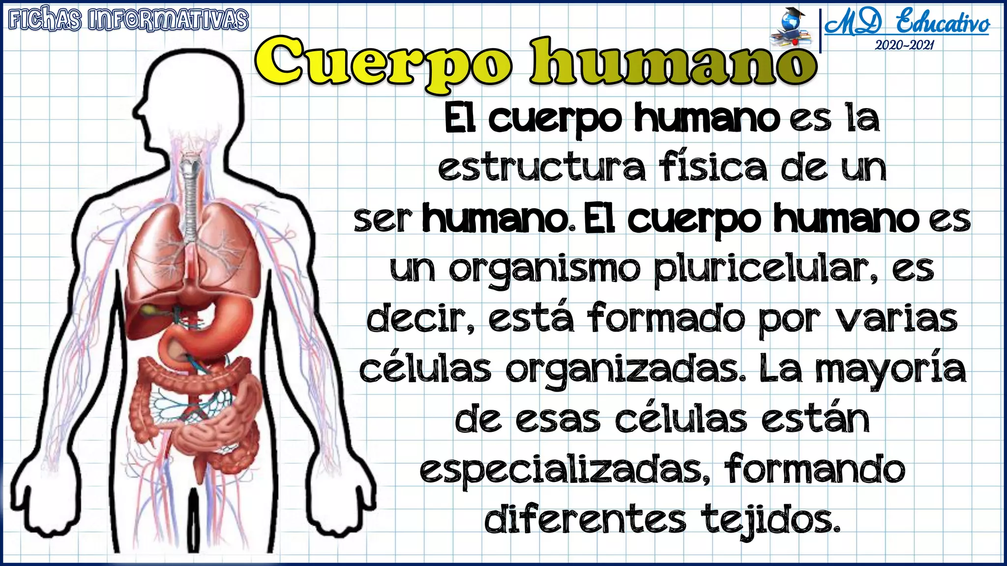 El Cuerpo Humano Pictures Pdf Cuerpo Humano Y Sus Partes Para