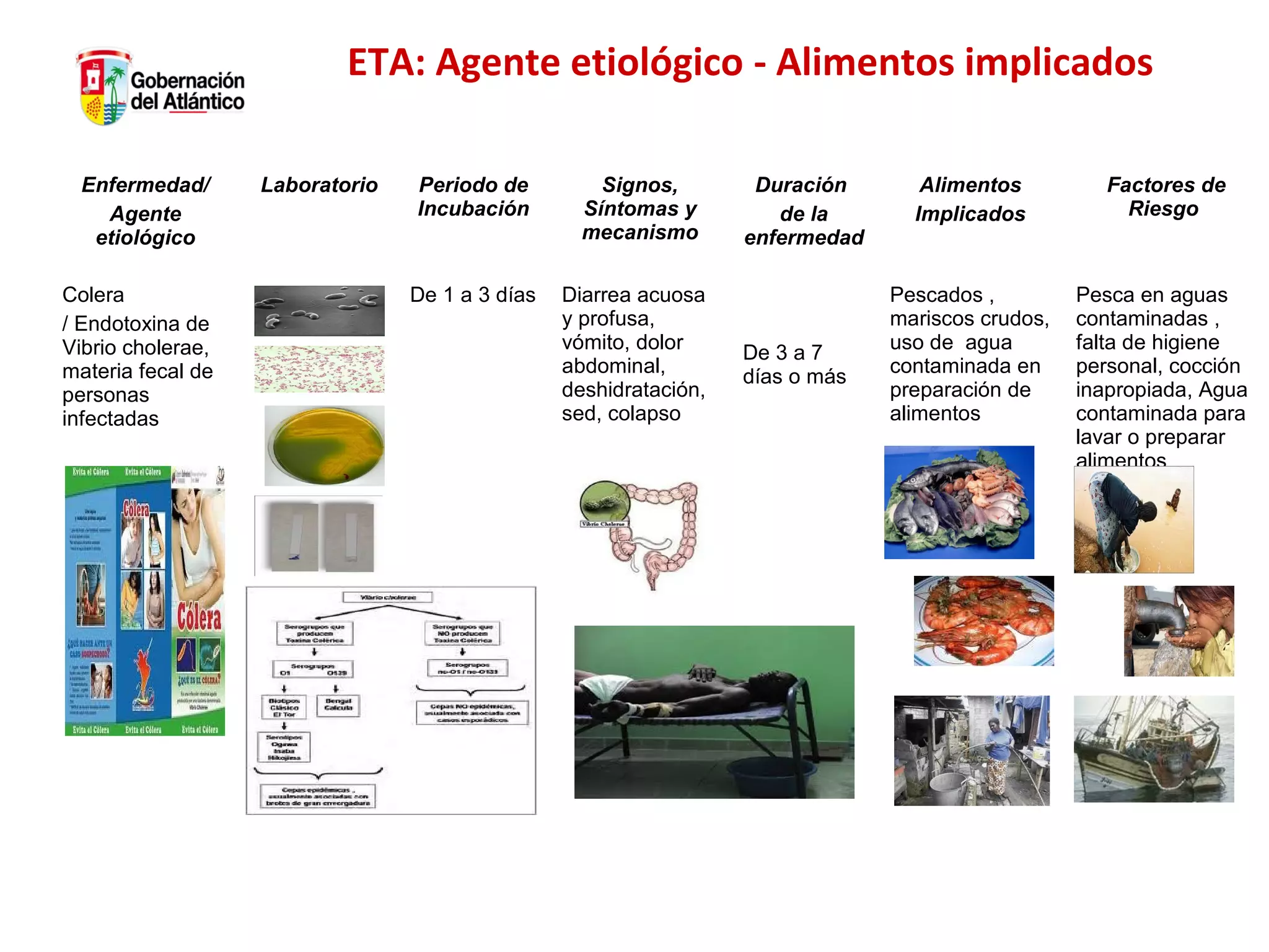 Fichas Enfermedad de Transmisión Alimentaria (ETA) | PPT