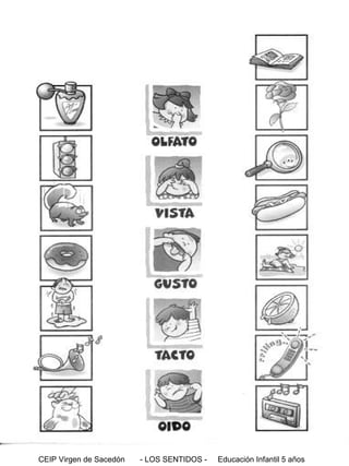 Fichas los sentidos | PPT