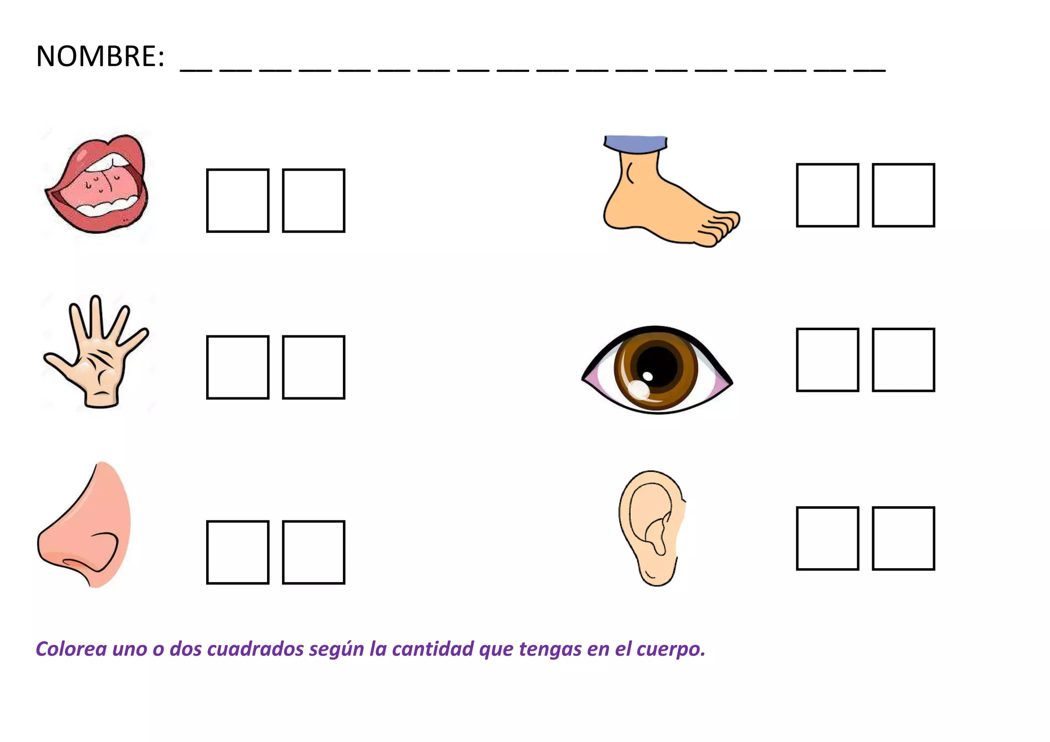 Fichas nuestro cuerpo humano y sus sentidos | PDF