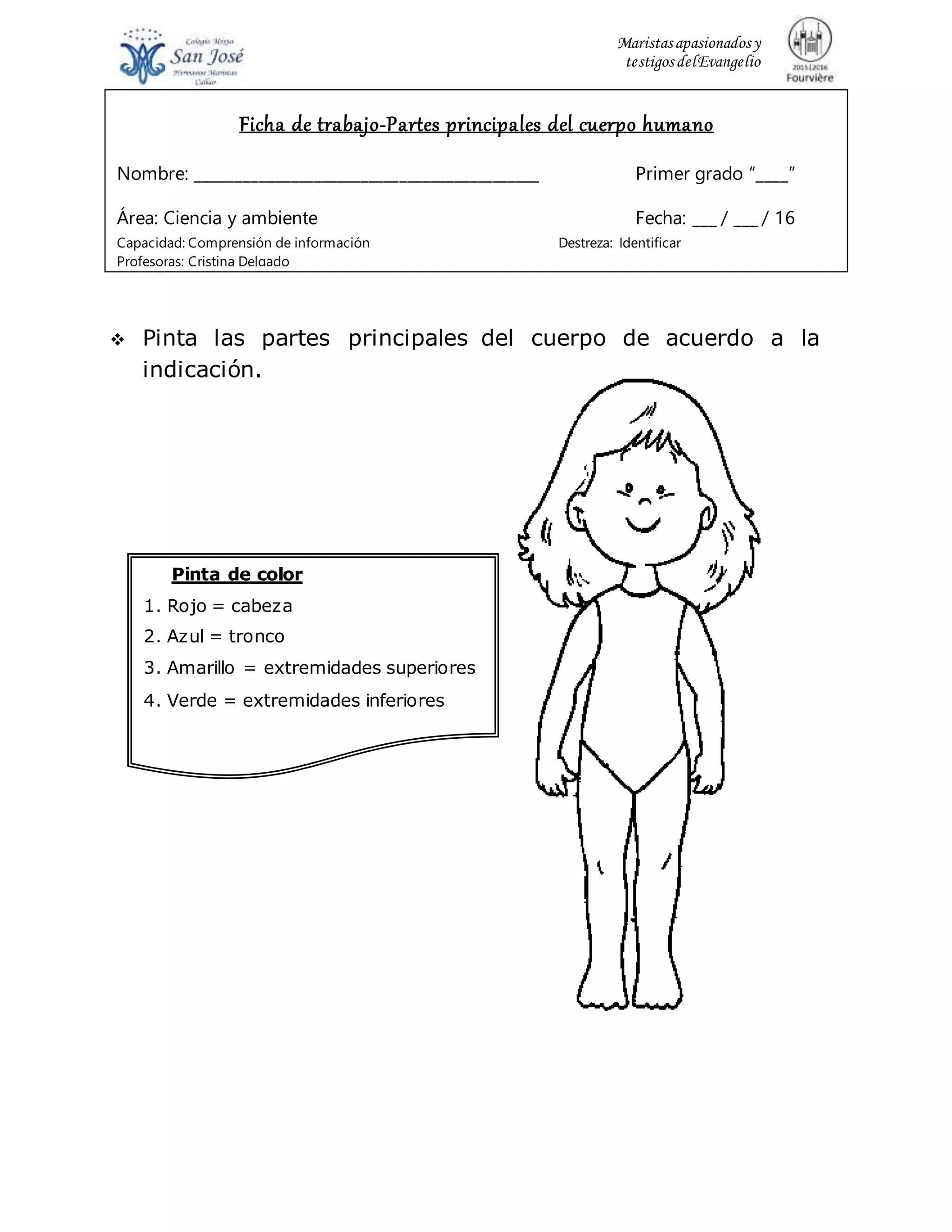 Partes Del Cuerpo Worksheet For Primero De Primaria