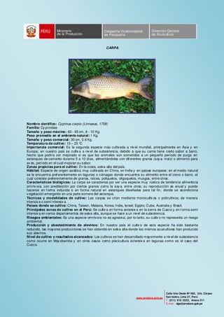 Fichas principales especies | PDF