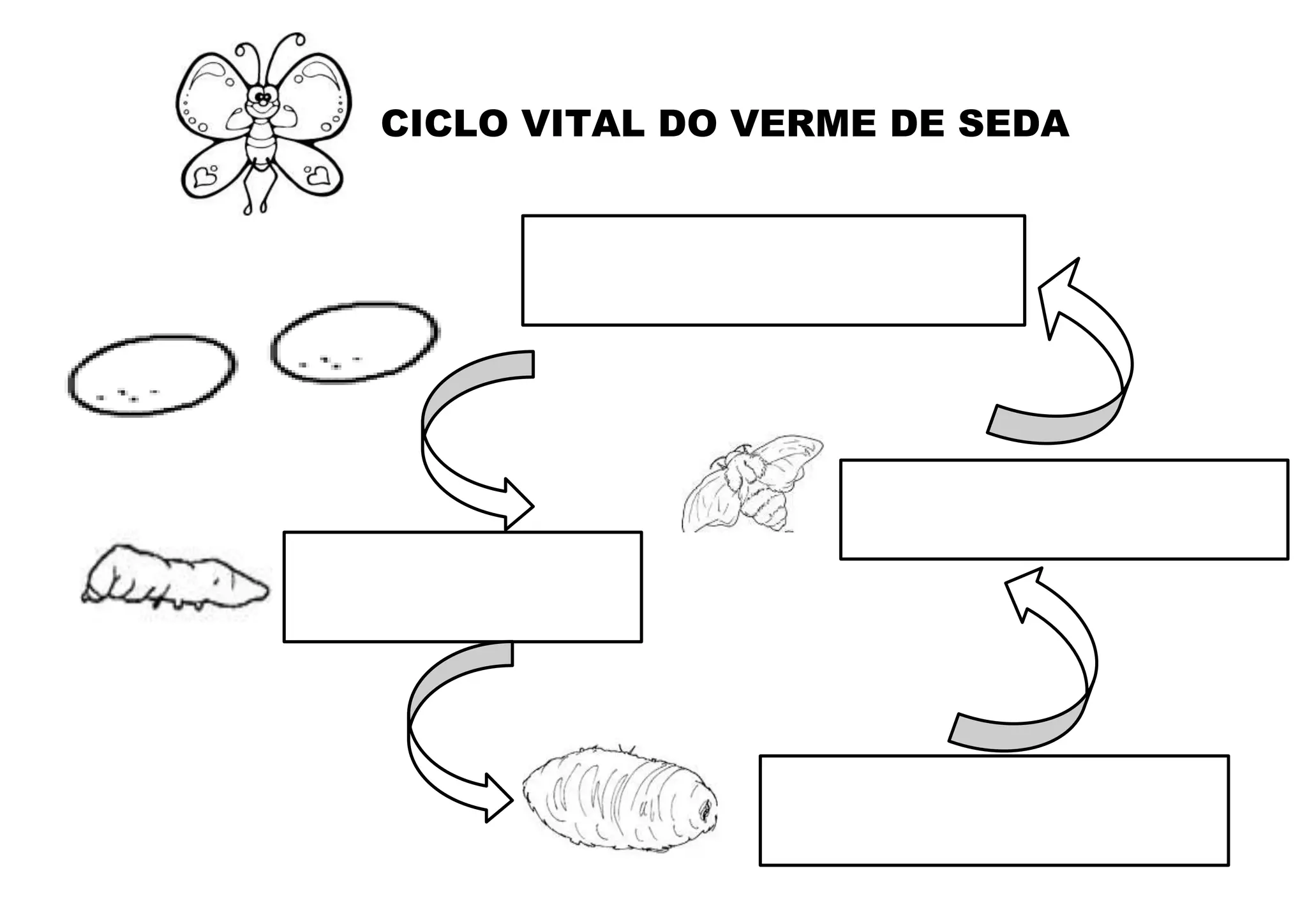 Fichas proxecto insectos | DOCX