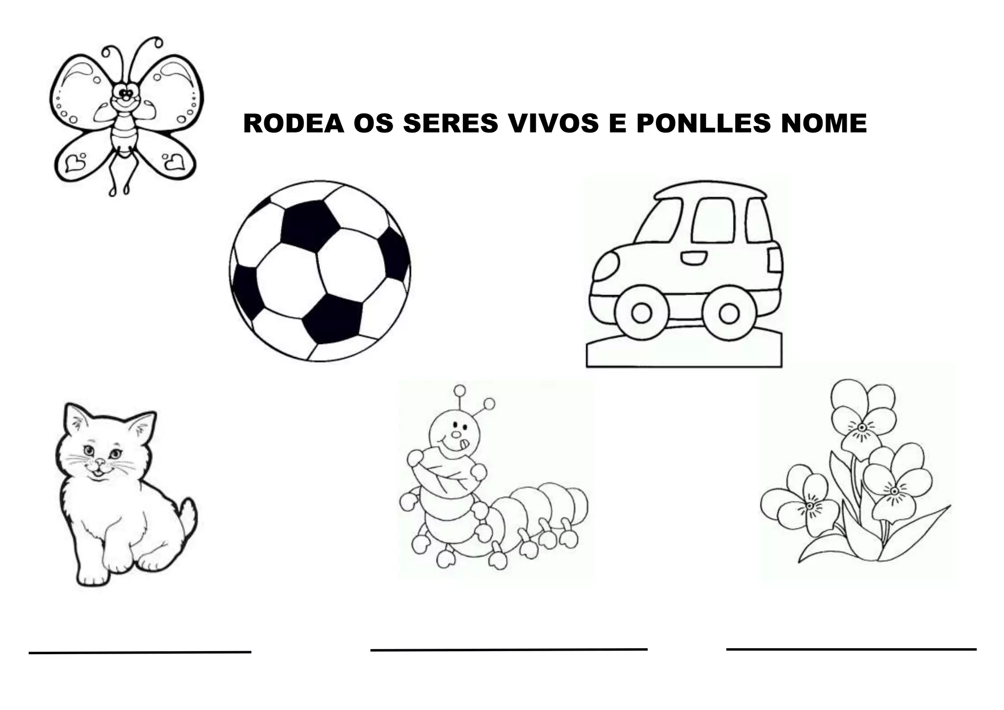 Fichas proxecto insectos | DOCX