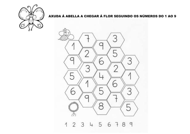 Fichas proxecto insectos | DOCX