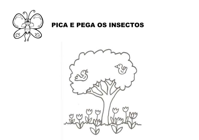 Fichas proxecto insectos | DOCX