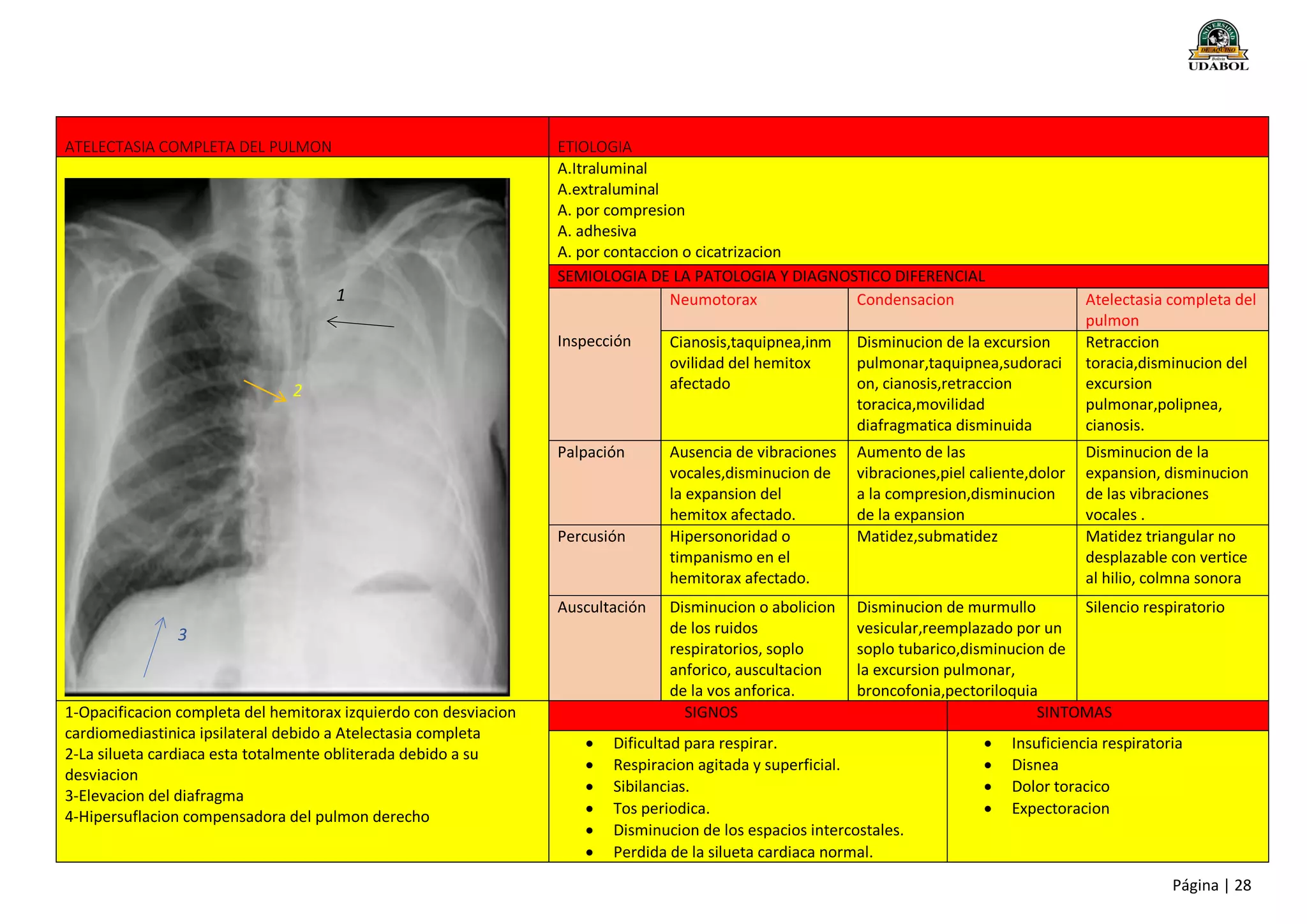 FICHAS,SEMIOLOGIA RESPIRATORIA,RX .pdf