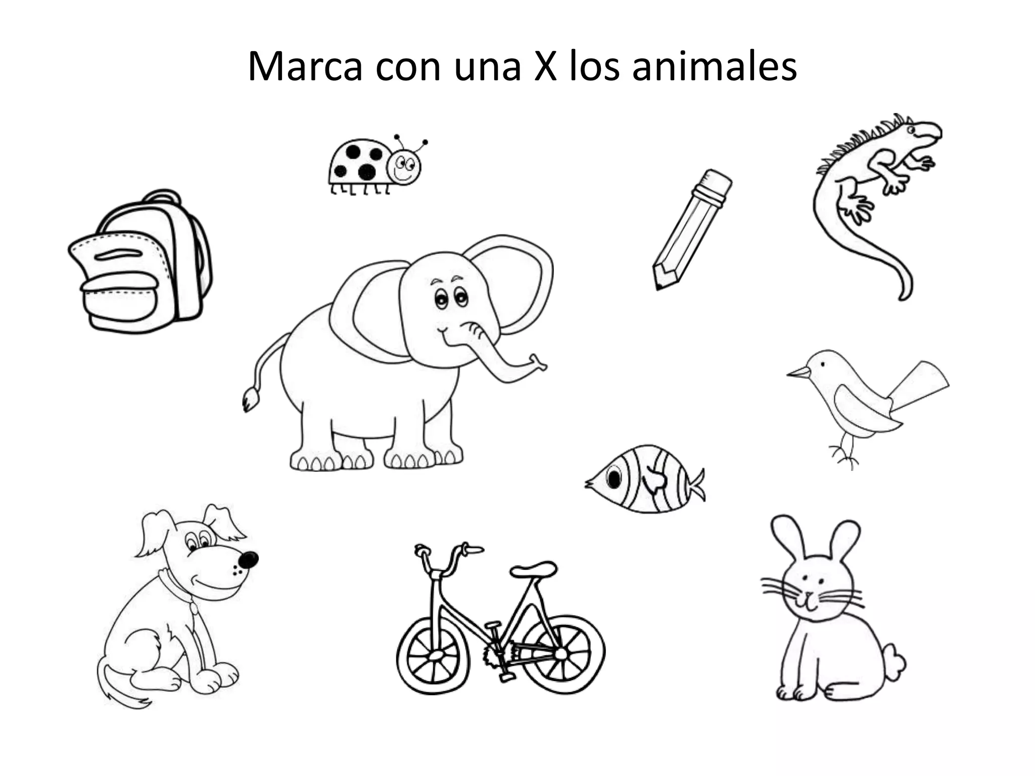 Fichas de seres vivos y seres inertes | PPTX