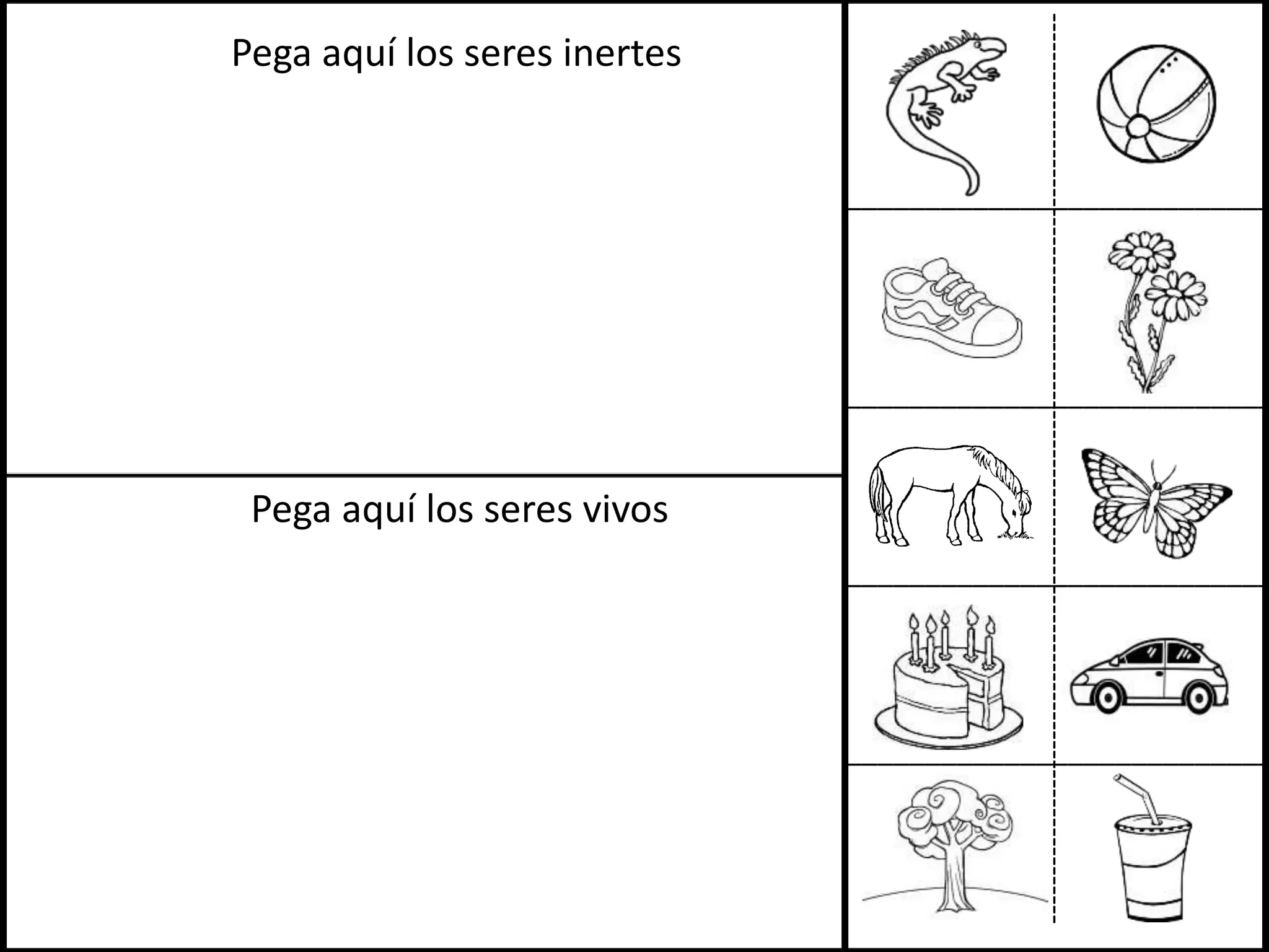 Hoja De Trabajo Sobre Seres Vivos O No Vivos