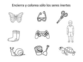 Fichas de seres vivos y seres inertes | PPTX