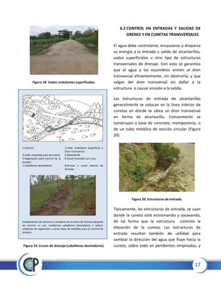 Caminos de acceso y sacacosecha | PDF