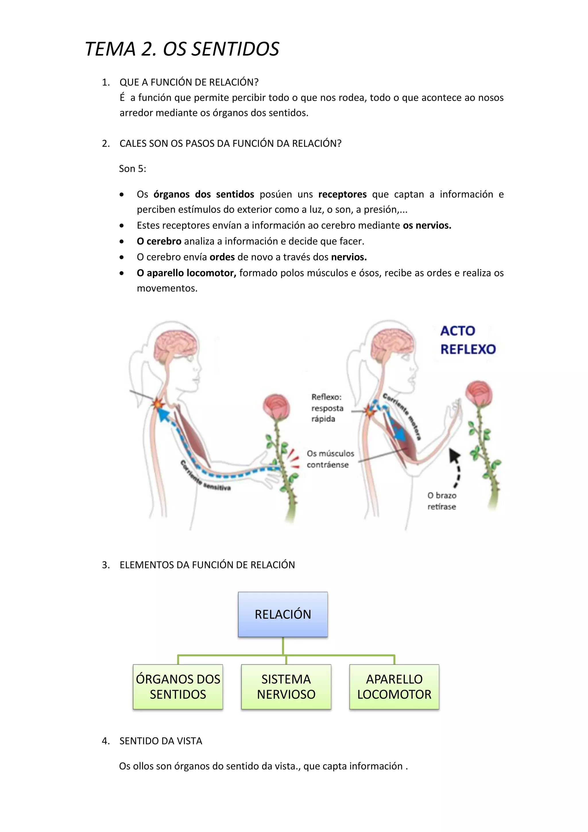 Ficha tema 2 cs | PDF
