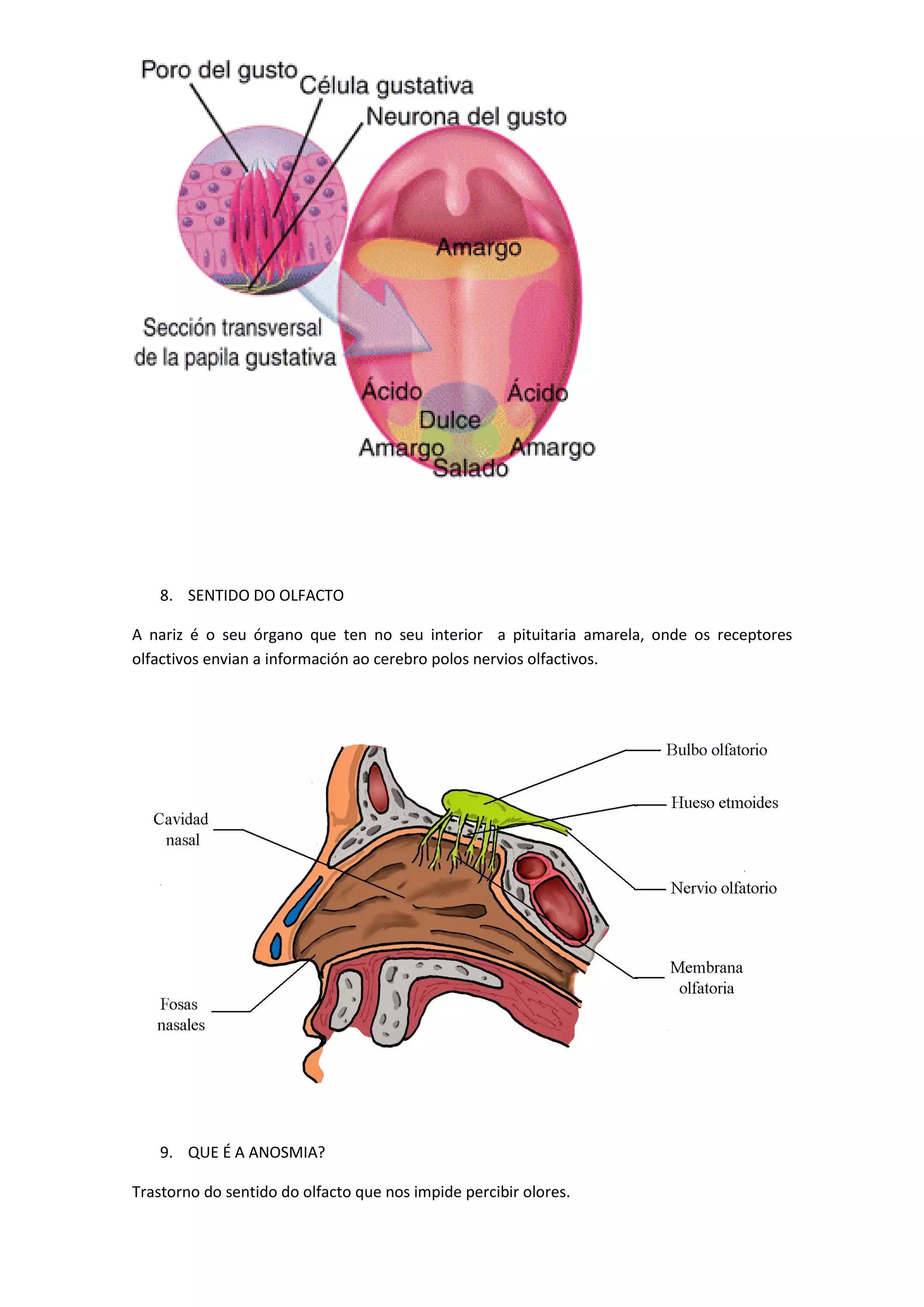 Ficha tema 2 cs | PDF