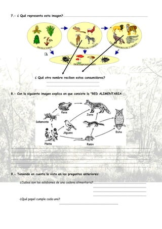 Ficha tema 2 "Los ecosistemas" | PDF