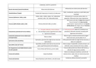 Ficha trabajo anatomia clinica | PDF