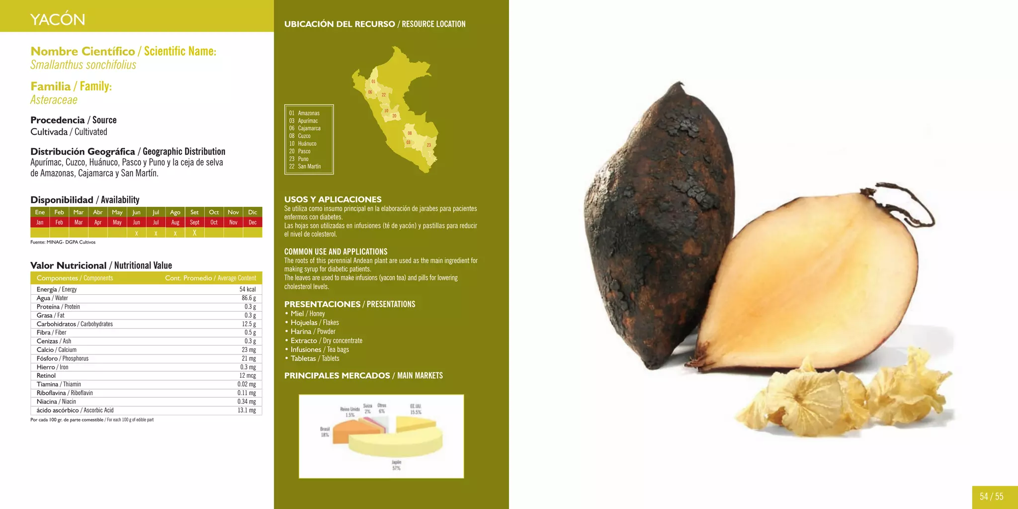 Biocomercio - Yacon | PDF
