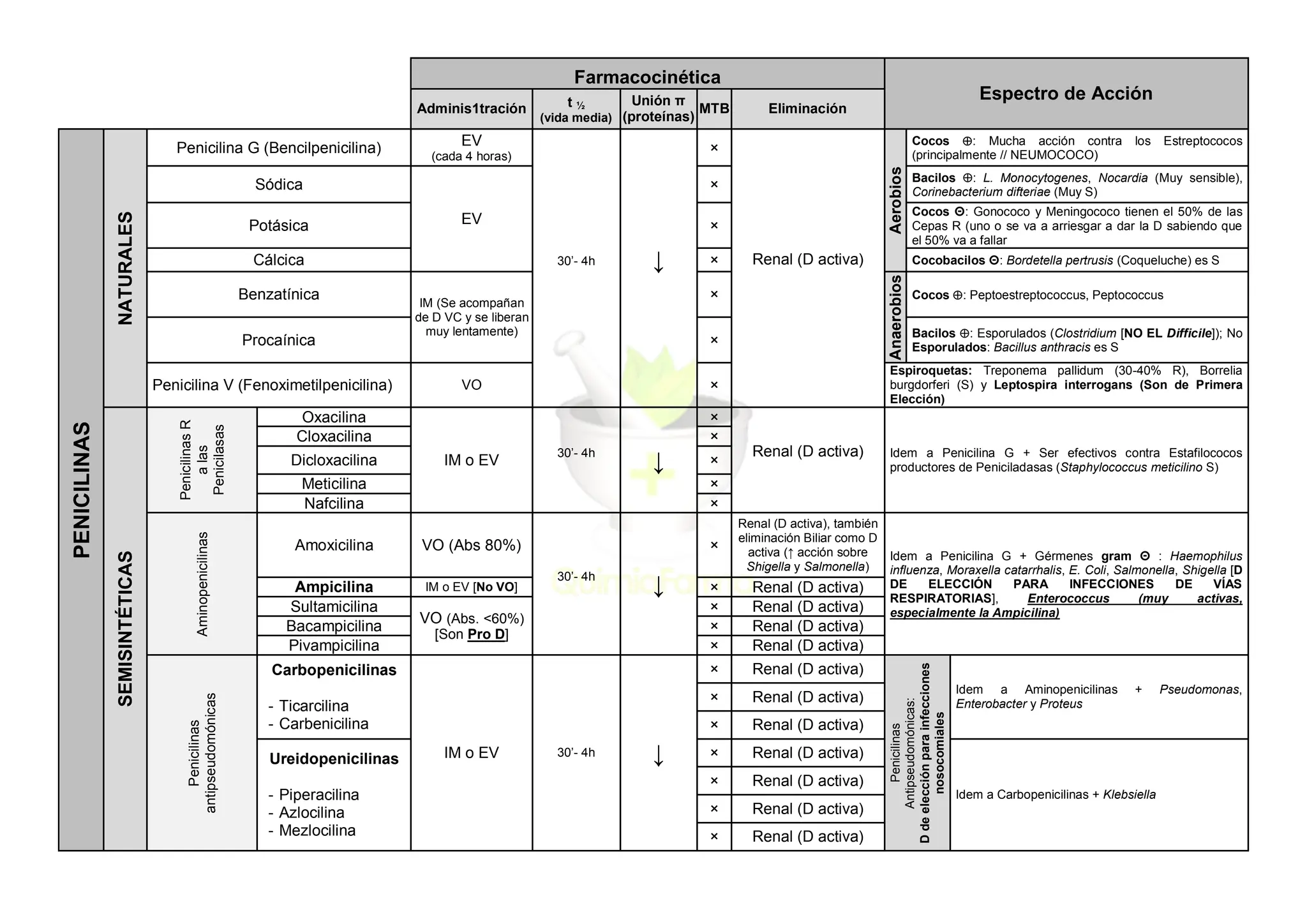 FICHERO ANTIBIÓTICOS PARA LA FACULTAD DE MEDICINA | PDF