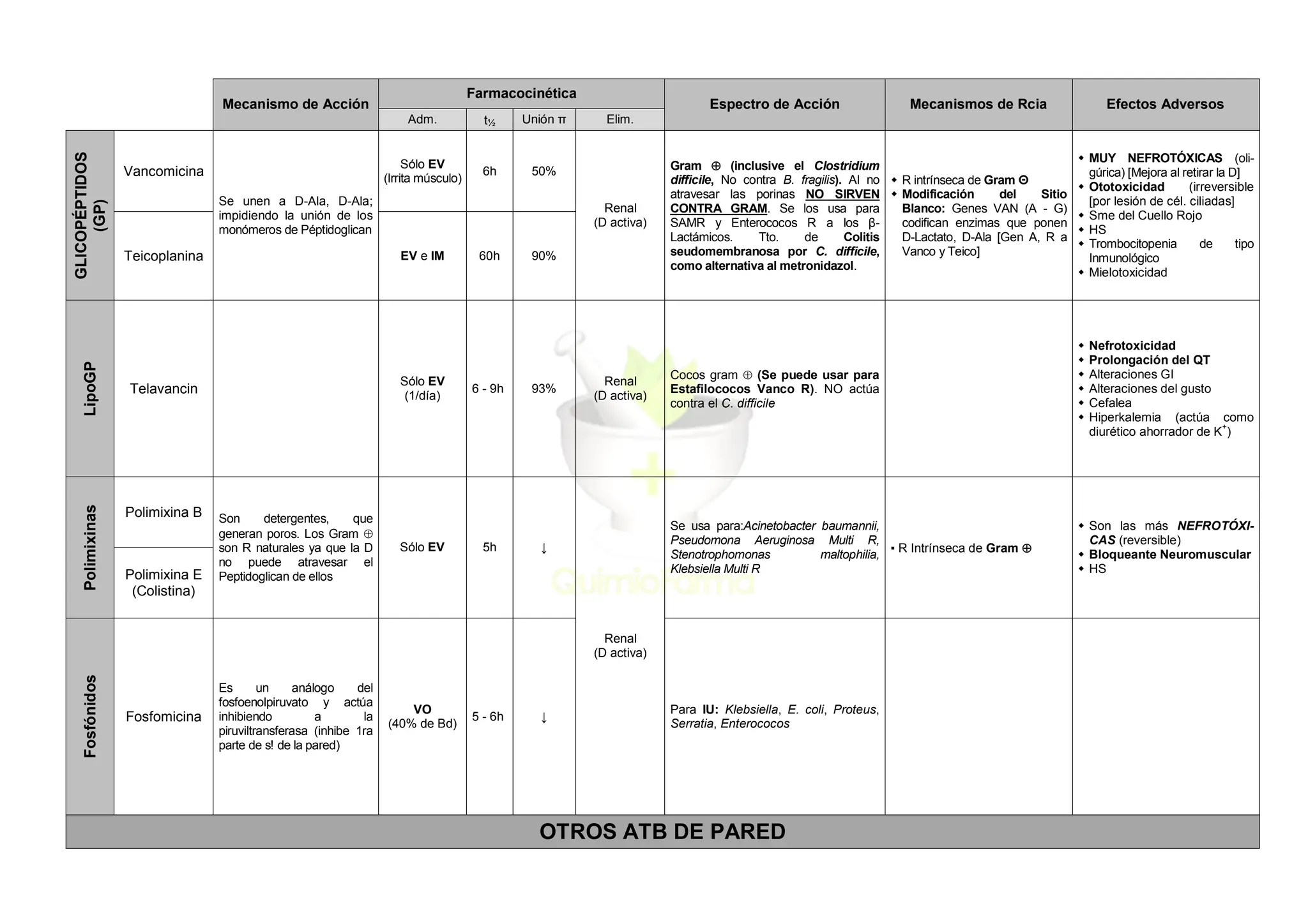 FICHERO ANTIBIÓTICOS PARA LA FACULTAD DE MEDICINA | PDF