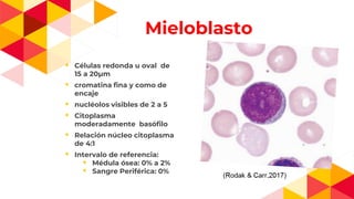 Fichero de hematologia | PDF