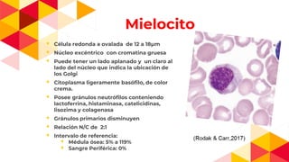 Fichero de hematologia | PDF