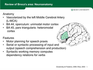 Characteristics and Management of a Classic Case of Broca Aphasia | POTX