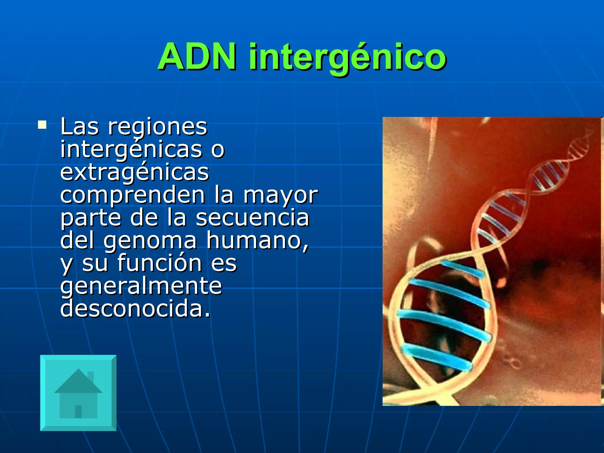 El genoma humano | PPT