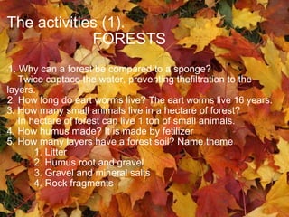 Ficus carica figuera_group_m_angel_lovep | PPT