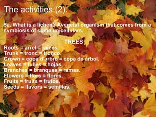 Ficus carica figuera_group_m_angel_lovep | PPT