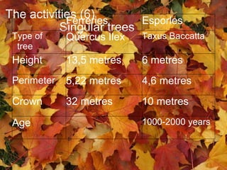 Ficus carica figuera_group_m_angel_lovep | PPT