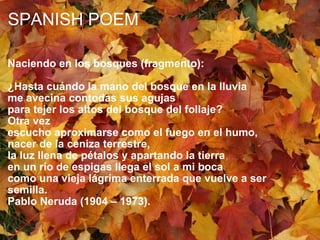 Ficus carica figuera_group_m_angel_lovep | PPT