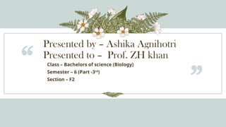 Ficus racemosa.Ashika.pptx for ethnobotical plant and shrubs | PPTX