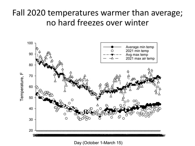 Delayed spring growth | PPT