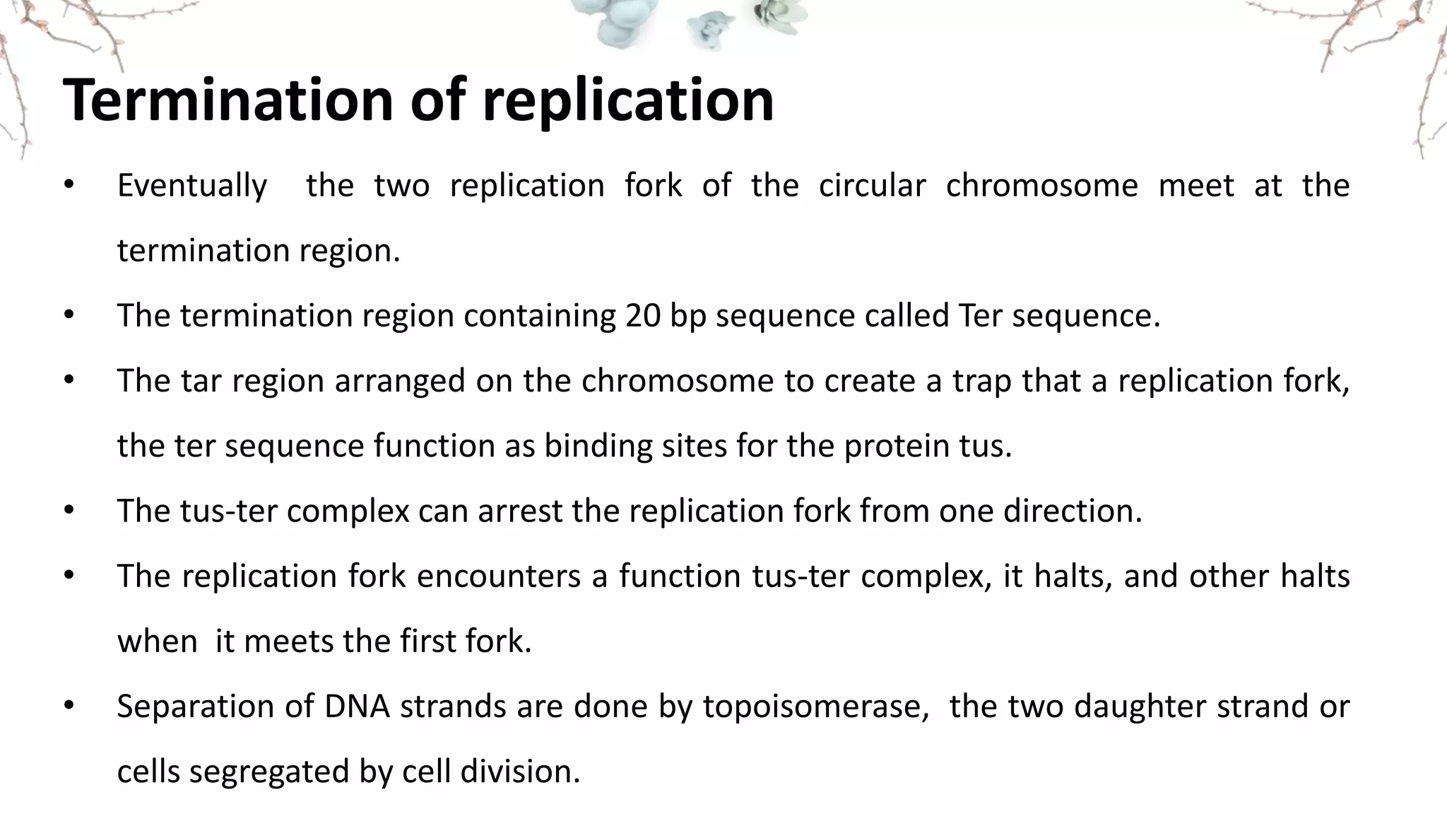 Fidelity of DNA replication | PPTX