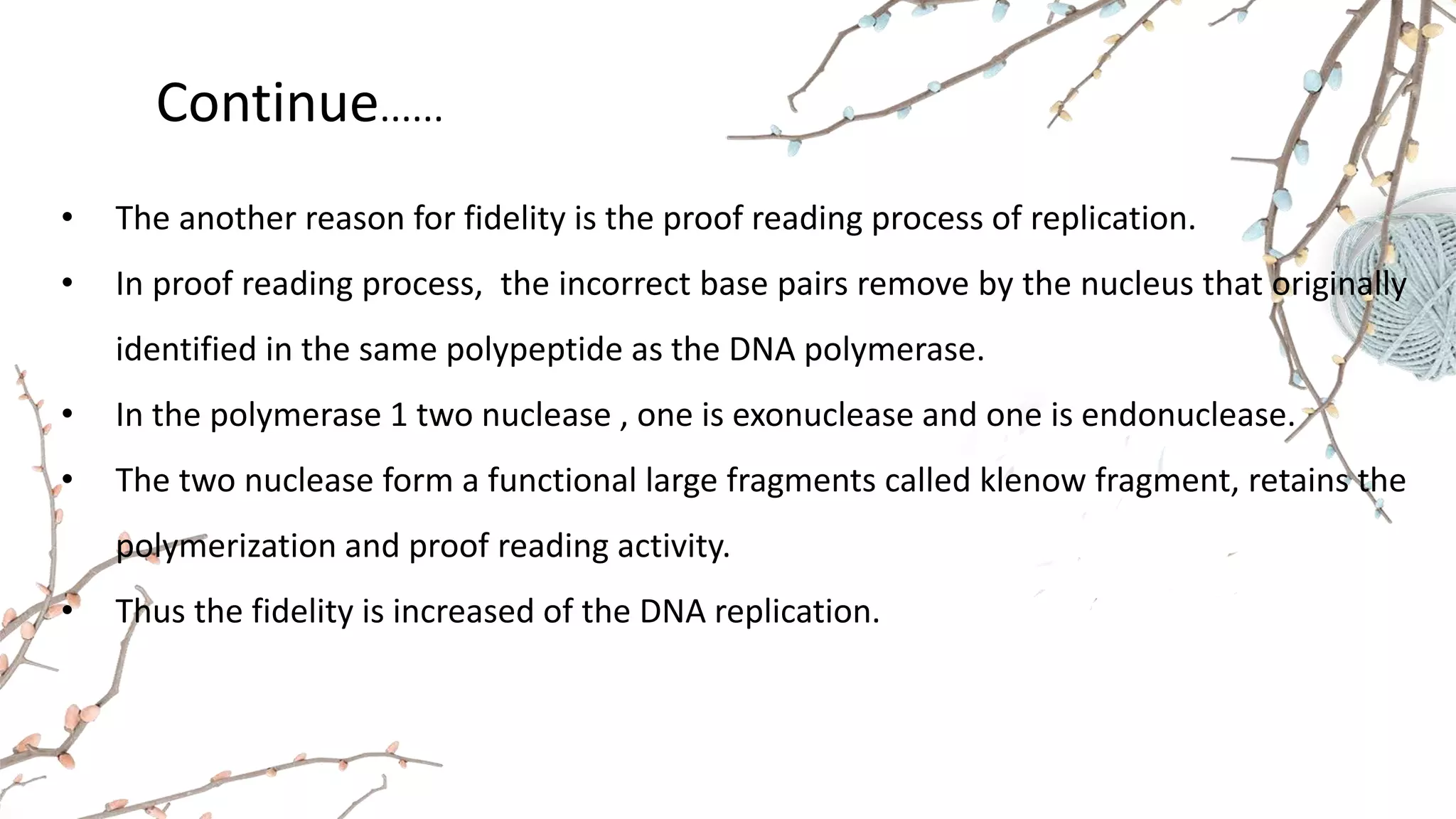 Fidelity of DNA replication | PPTX