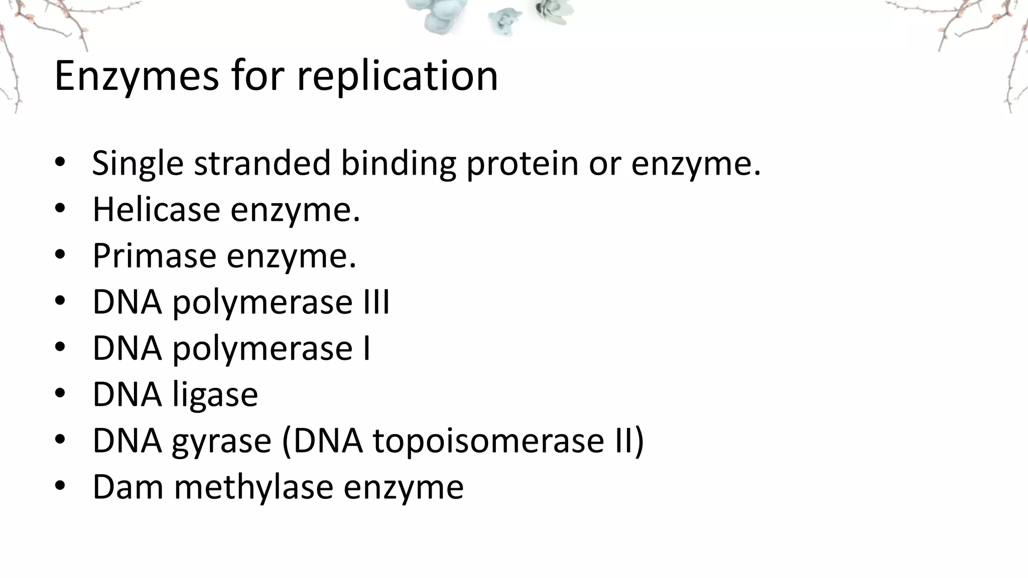 Fidelity of DNA replication | PPTX