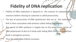 Fidelity of DNA replication | PPTX