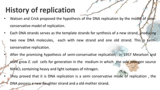 Fidelity of DNA replication | PPTX