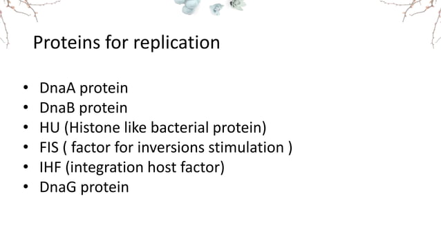 Fidelity of DNA replication | PPTX