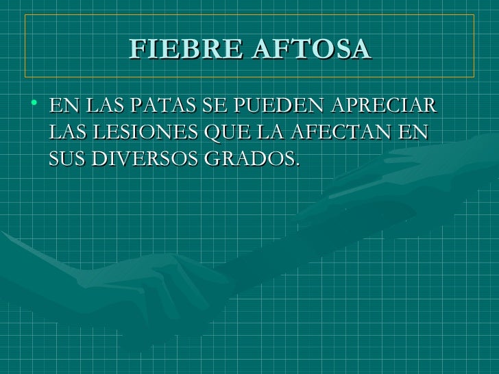 Fiebre Aftosa